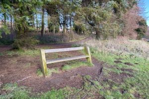 Cod Beck Reservoir Walk: Scenic Route Starting in Osmotherley