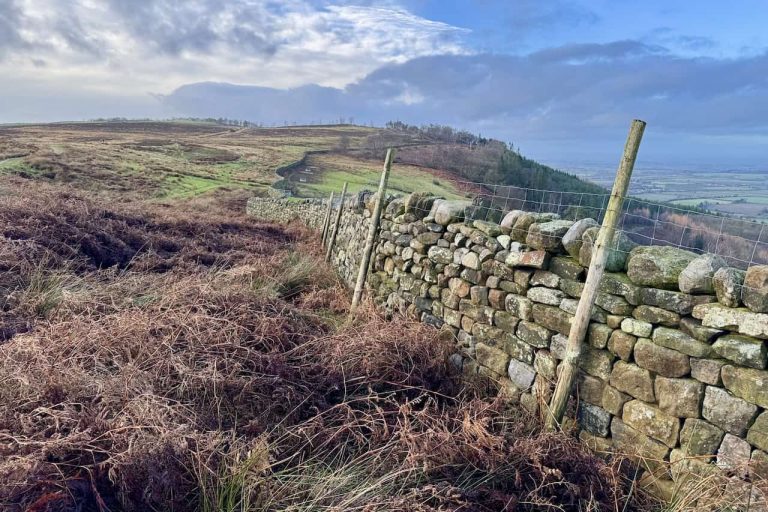 Cod Beck Reservoir Walk: Scenic Route Starting in Osmotherley
