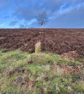 Cod Beck Reservoir Walk: Scenic Route Starting in Osmotherley