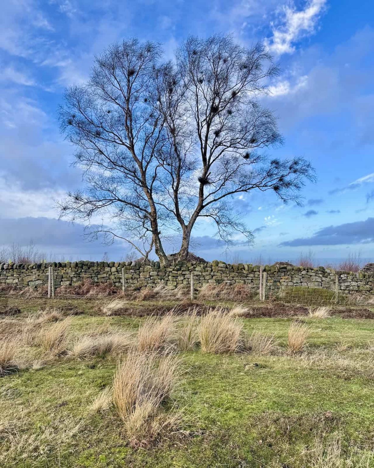Cod Beck Reservoir Walk: Scenic Route Starting in Osmotherley