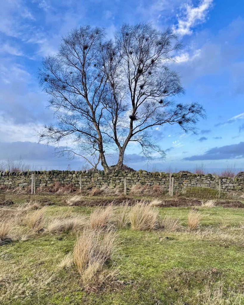 Cod Beck Reservoir Walk: Scenic Route Starting in Osmotherley