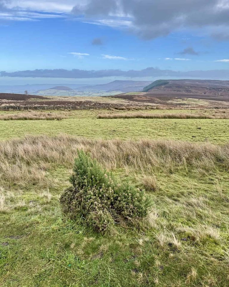 Cod Beck Reservoir Walk: Scenic Route Starting in Osmotherley