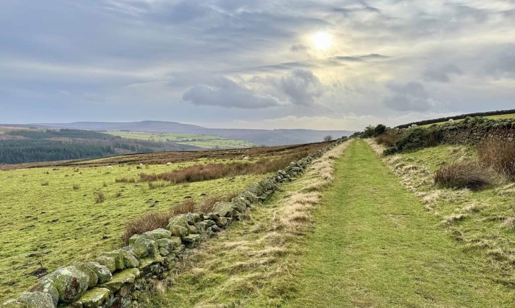 Cod Beck Reservoir Walk: Scenic Route Starting in Osmotherley
