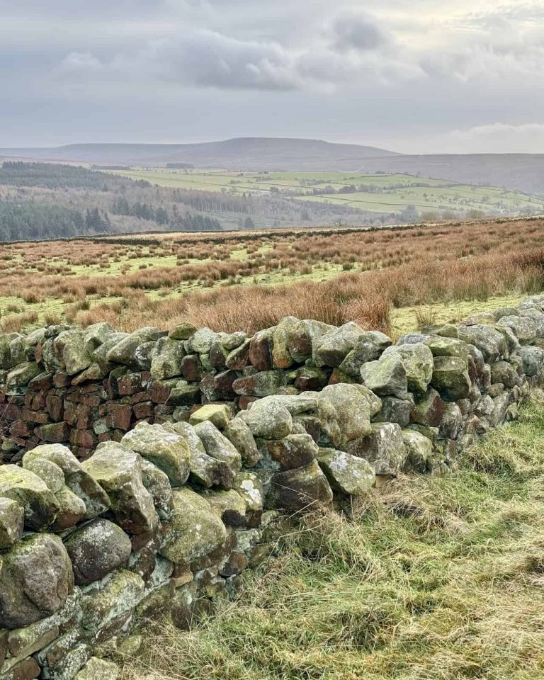 Cod Beck Reservoir Walk: Scenic Route Starting in Osmotherley