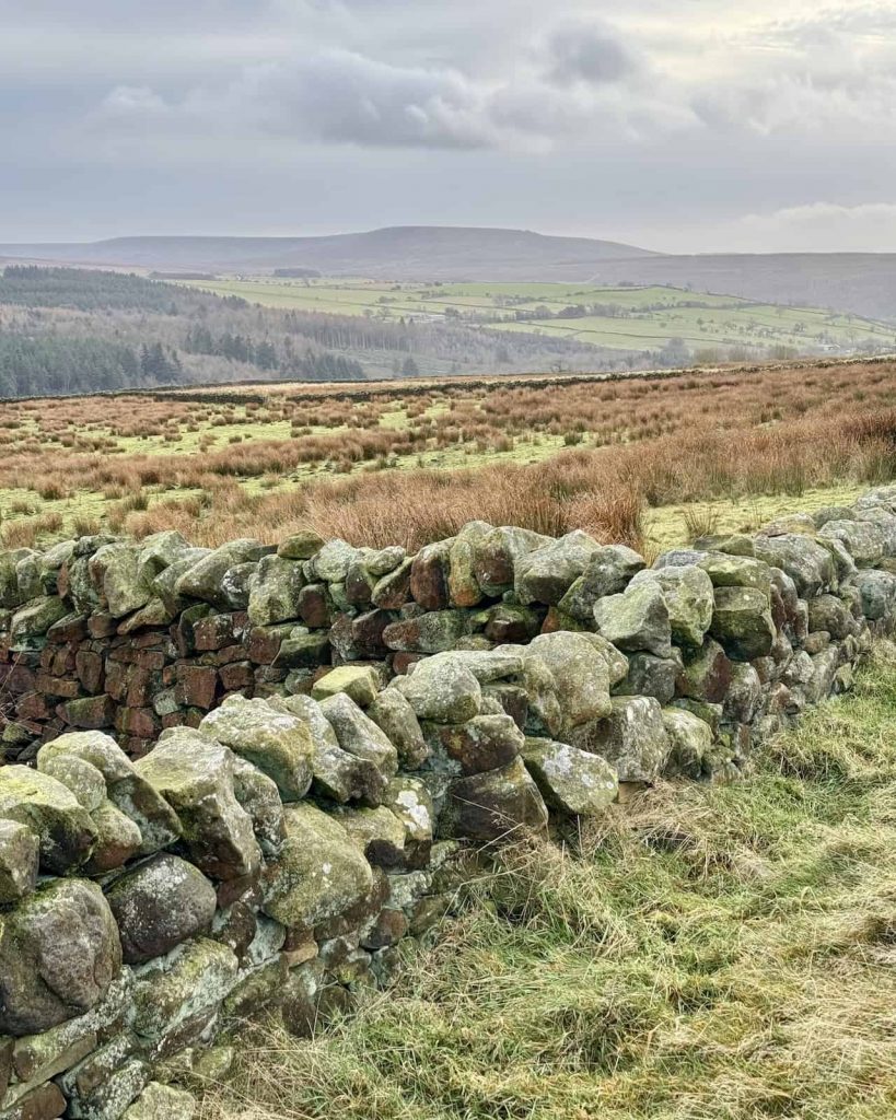 Cod Beck Reservoir Walk: Scenic Route Starting in Osmotherley