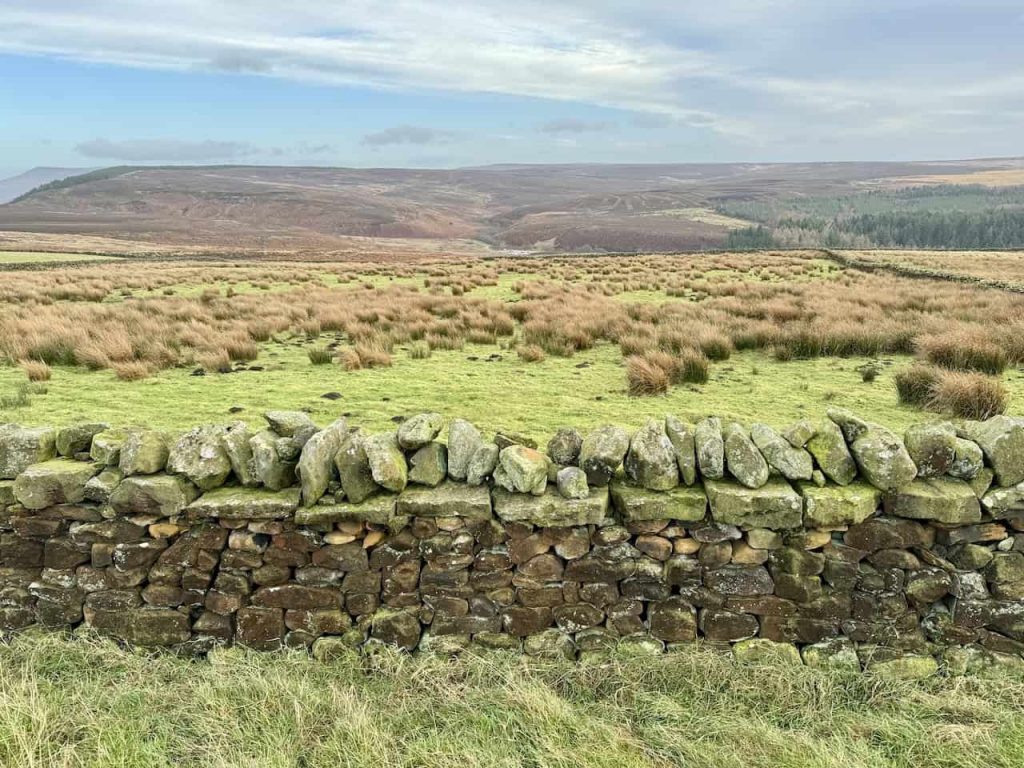 Cod Beck Reservoir Walk: Scenic Route Starting in Osmotherley