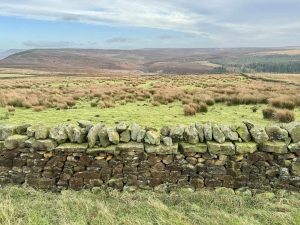 Cod Beck Reservoir Walk: Scenic Route Starting in Osmotherley