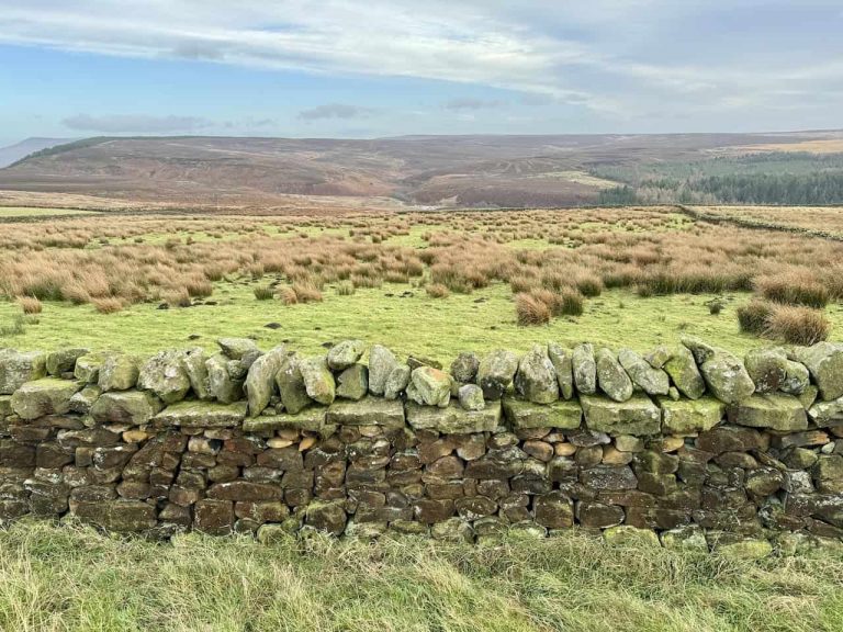Cod Beck Reservoir Walk: Scenic Route Starting in Osmotherley