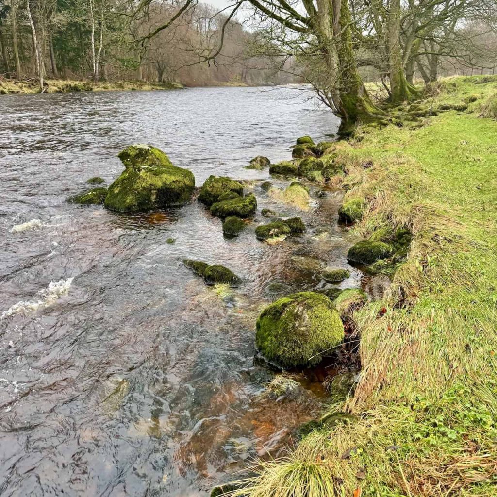 Wensleydale Walk: Discover Redmire Force in the Yorkshire Dales