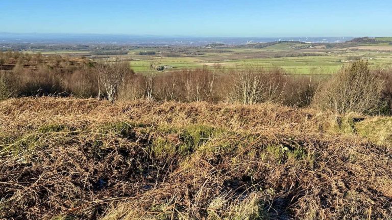 Guisborough 3 Peaks: Roseberry Topping, Hanging Stone, Highcliff Nab