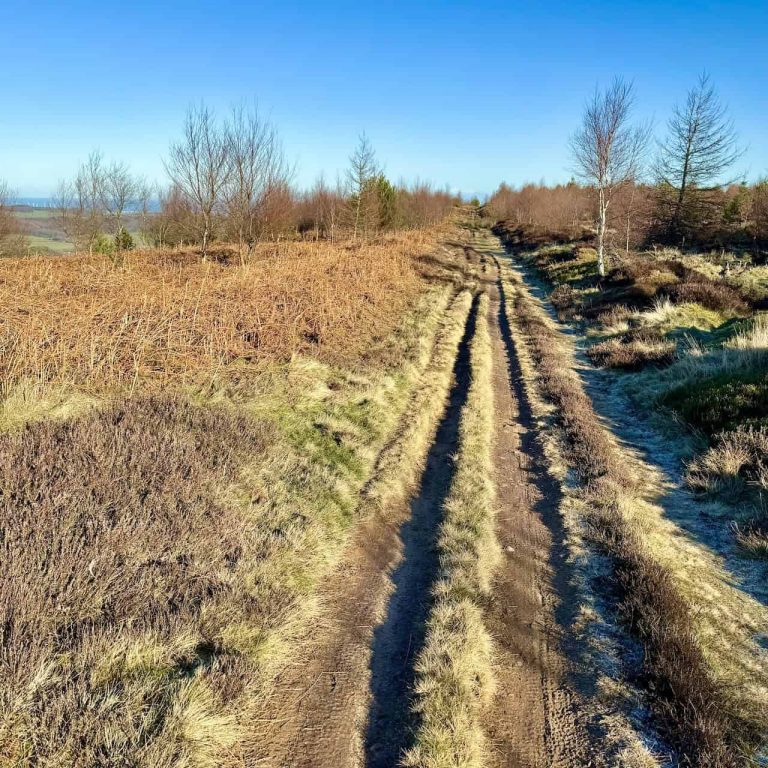 Guisborough 3 Peaks: Roseberry Topping, Hanging Stone, Highcliff Nab