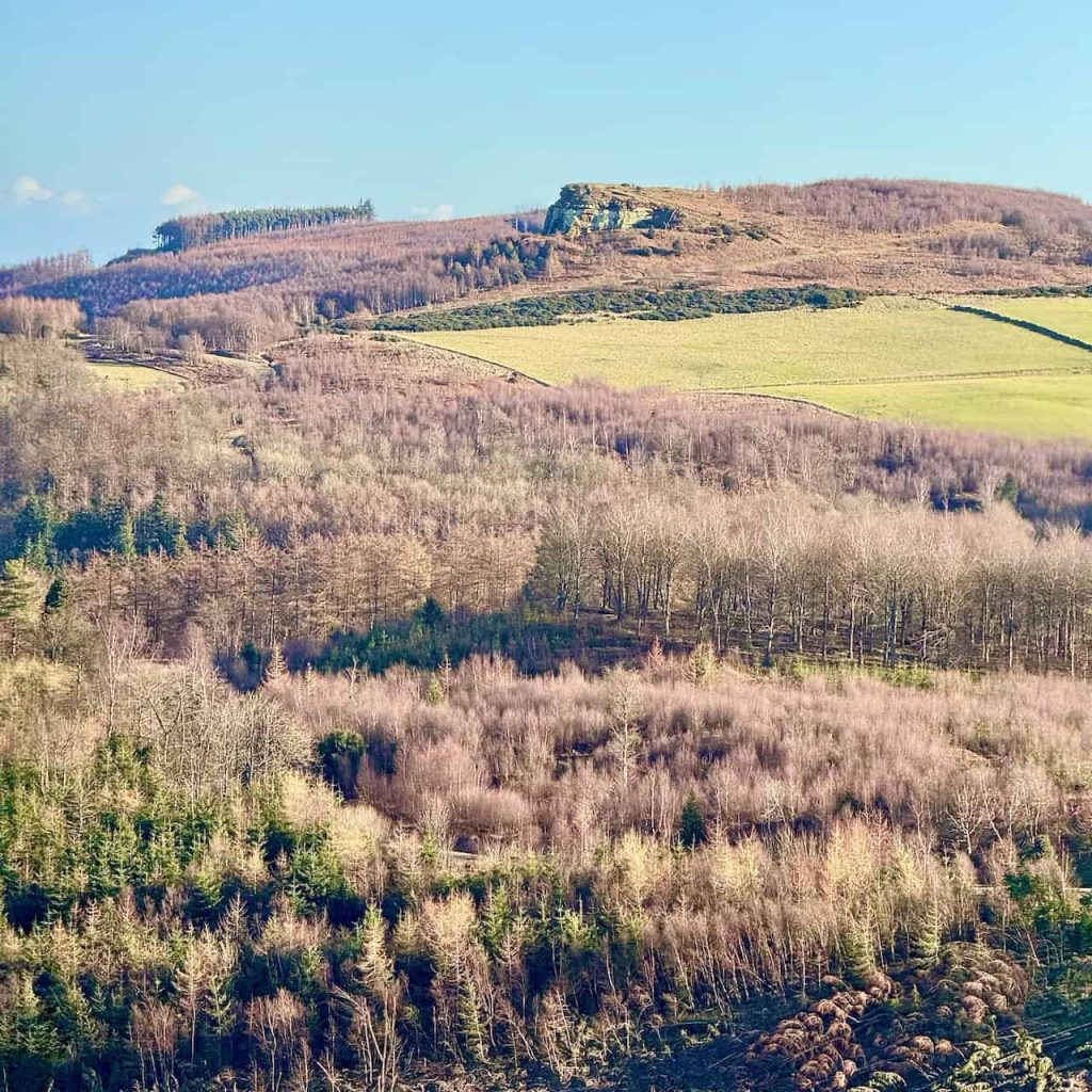 Guisborough 3 Peaks: Roseberry Topping, Hanging Stone, Highcliff Nab