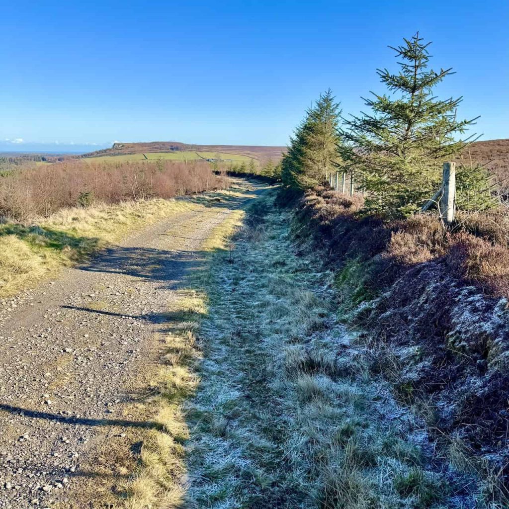 Guisborough 3 Peaks: Roseberry Topping, Hanging Stone, Highcliff Nab