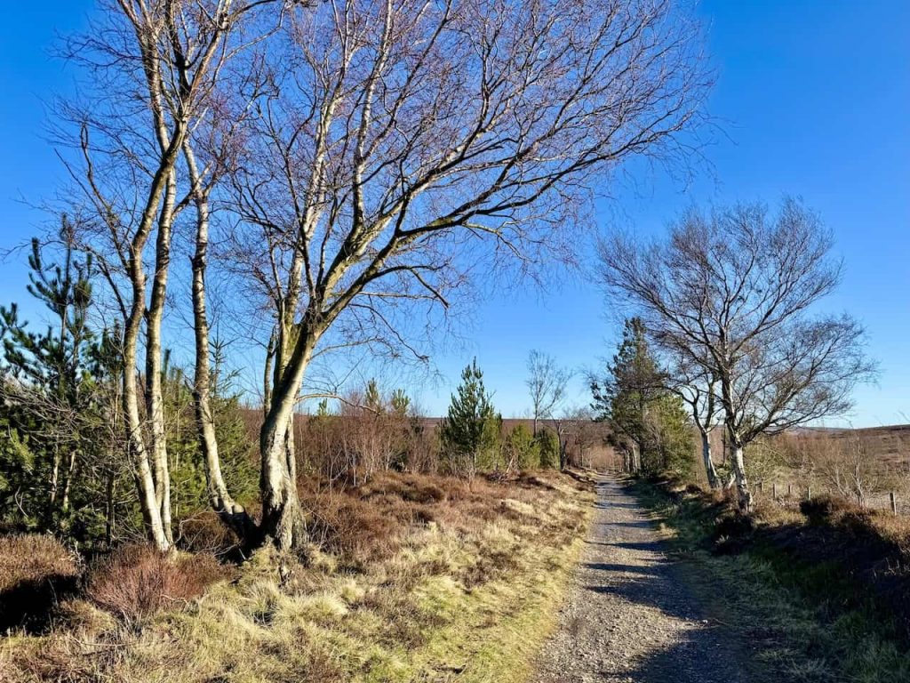 Guisborough 3 Peaks: Roseberry Topping, Hanging Stone, Highcliff Nab