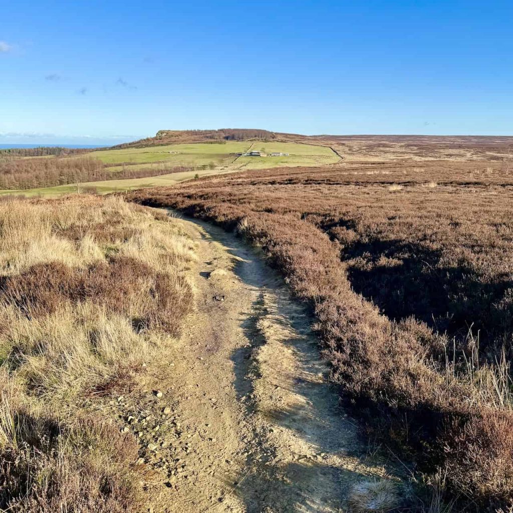 Guisborough 3 Peaks: Roseberry Topping, Hanging Stone, Highcliff Nab