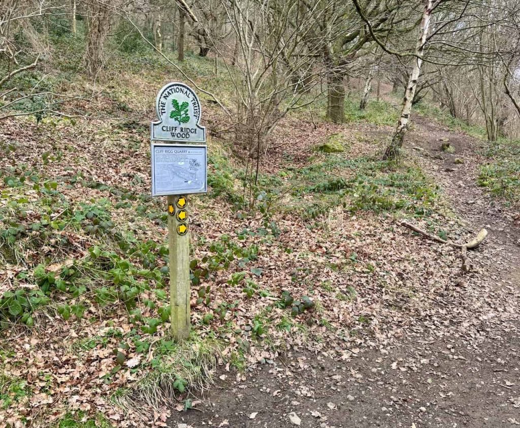 Roseberry Topping Walk: Trail Featuring Captain Cook’s Monument