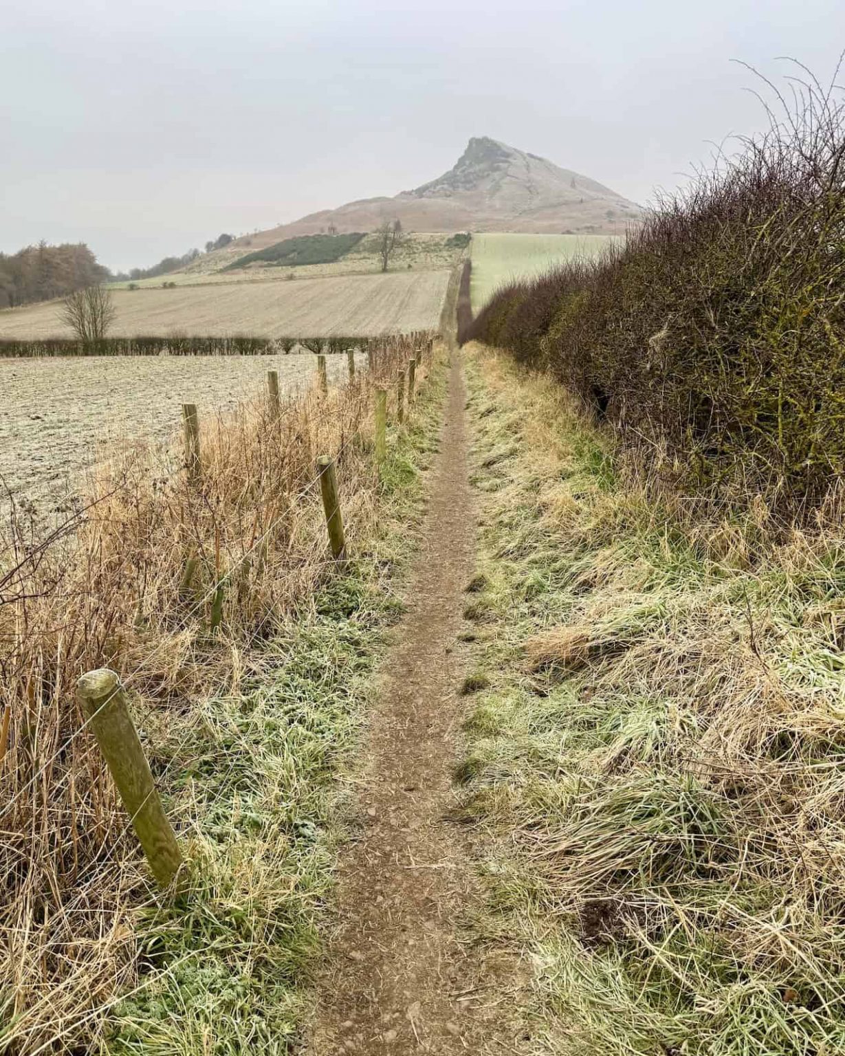 Roseberry Topping Walk: Trail Featuring Captain Cook’s Monument
