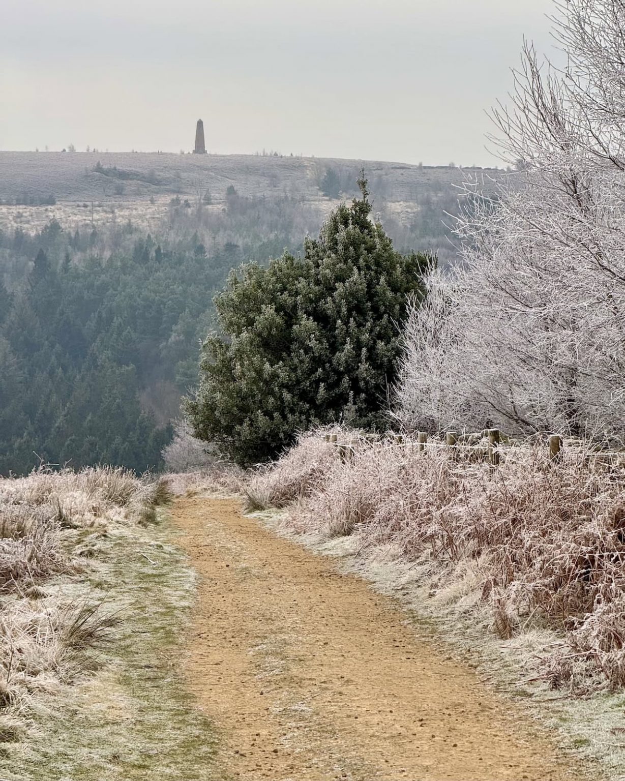 Roseberry Topping Walk: Trail Featuring Captain Cook’s Monument