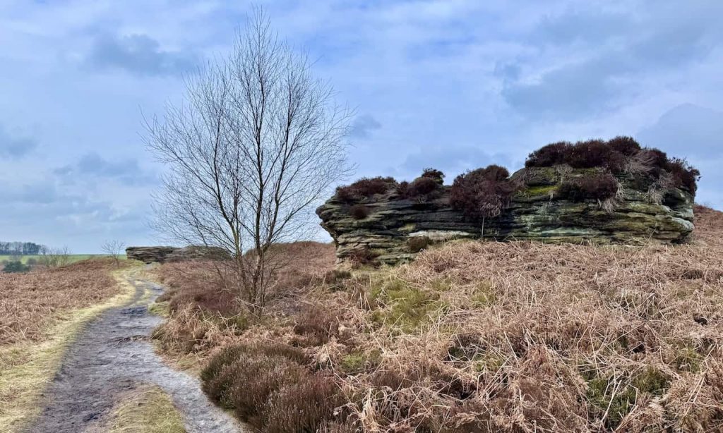 Bridestones Walk: Visit Ancient North York Moors Rock Formations