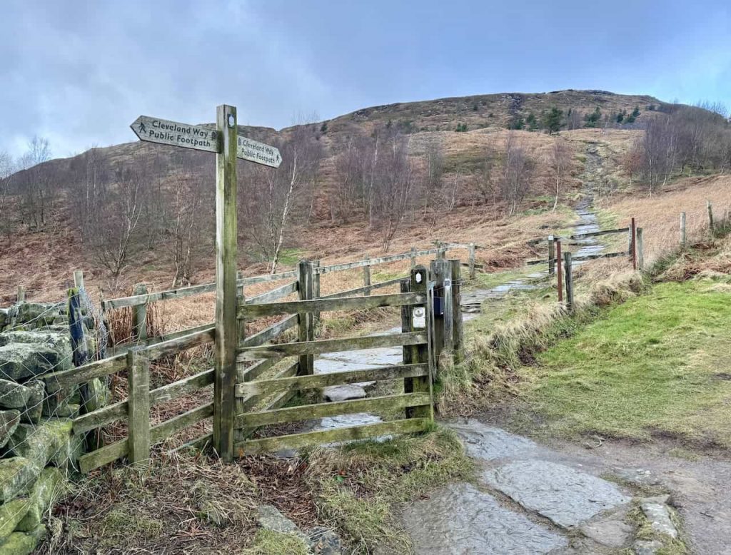 Cleveland 4 Peaks: White Hill, Cold Moor, Cringle Moor, Carlton Bank