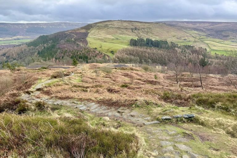 Cleveland 4 Peaks: White Hill, Cold Moor, Cringle Moor, Carlton Bank