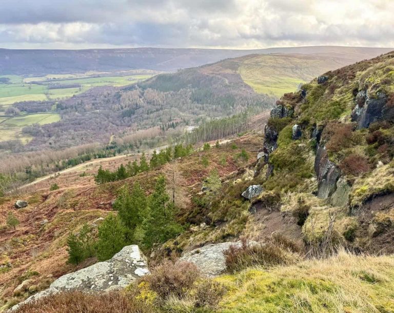Cleveland 4 Peaks: White Hill, Cold Moor, Cringle Moor, Carlton Bank