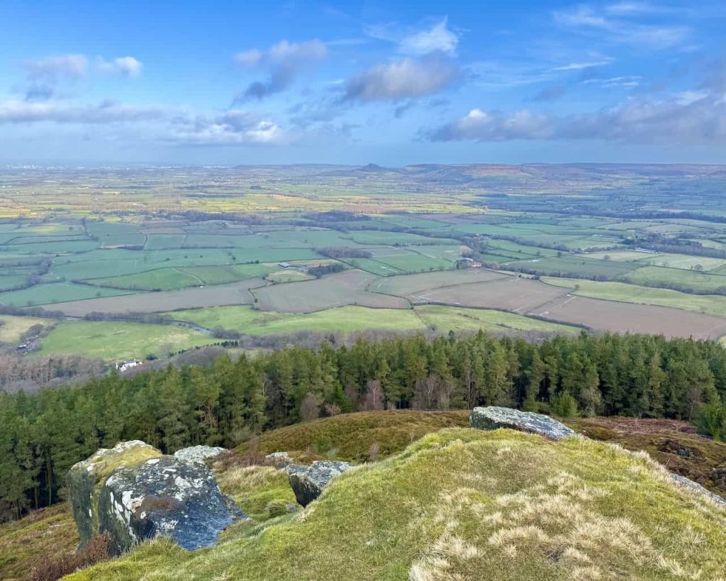 Cleveland 4 Peaks: White Hill, Cold Moor, Cringle Moor, Carlton Bank