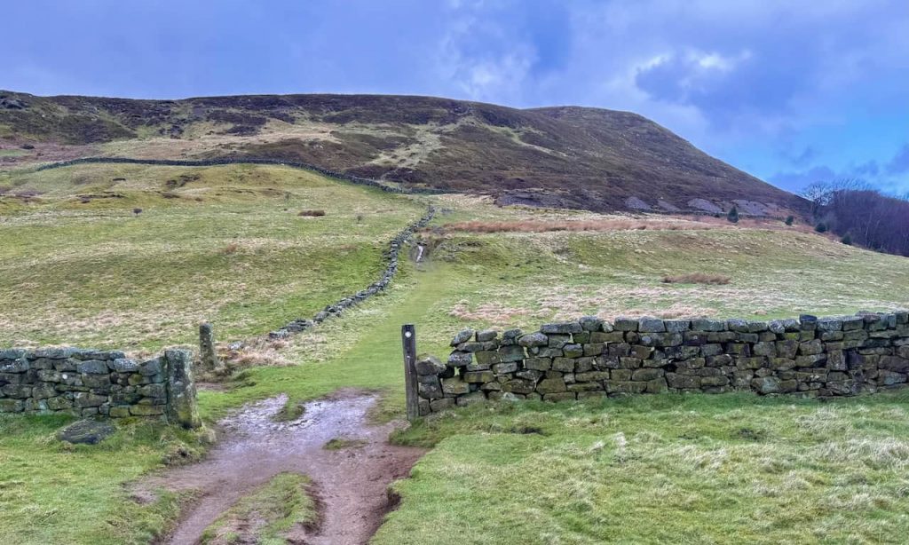 Cleveland 4 Peaks: White Hill, Cold Moor, Cringle Moor, Carlton Bank