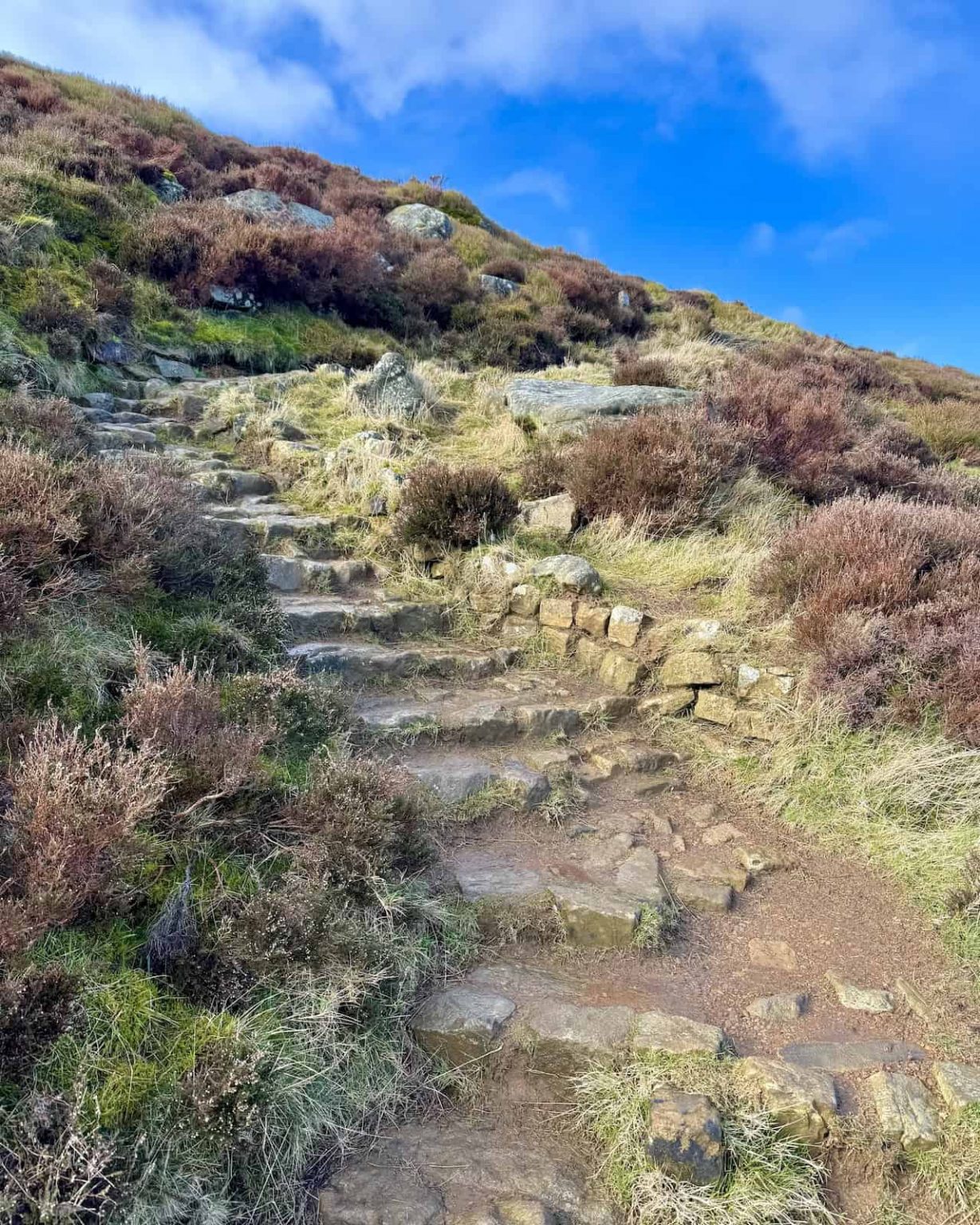 Cleveland 4 Peaks: White Hill, Cold Moor, Cringle Moor, Carlton Bank