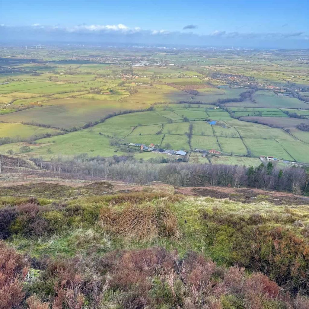 Cleveland 4 Peaks: White Hill, Cold Moor, Cringle Moor, Carlton Bank