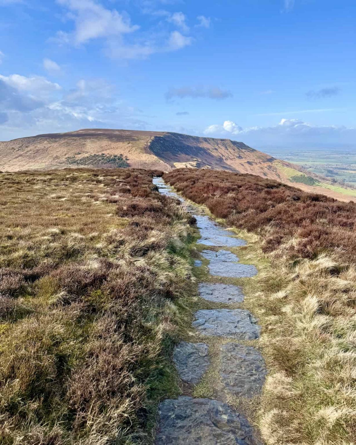 Cleveland 4 Peaks: White Hill, Cold Moor, Cringle Moor, Carlton Bank