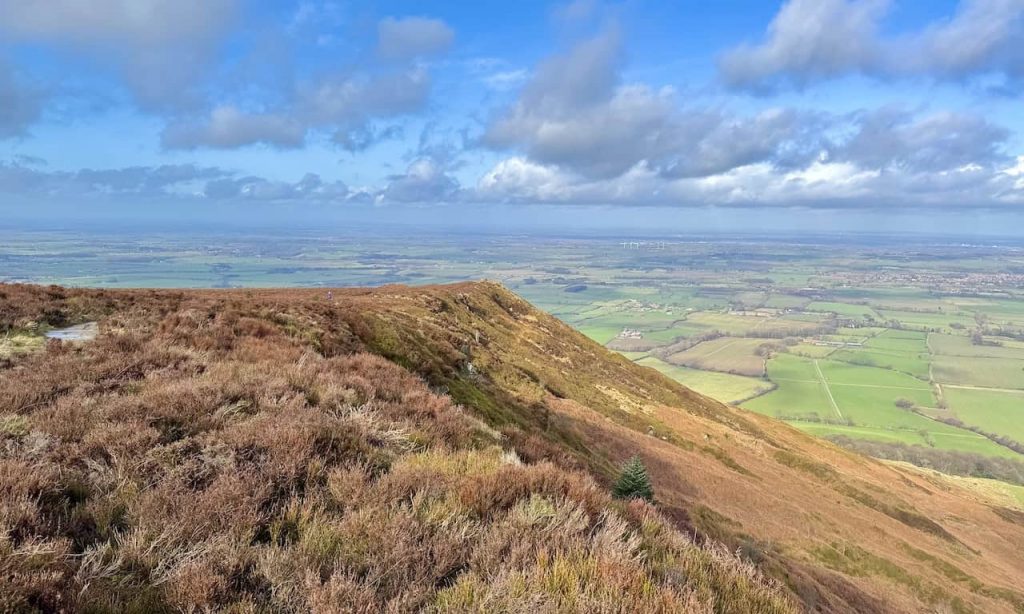 Cleveland 4 Peaks: White Hill, Cold Moor, Cringle Moor, Carlton Bank