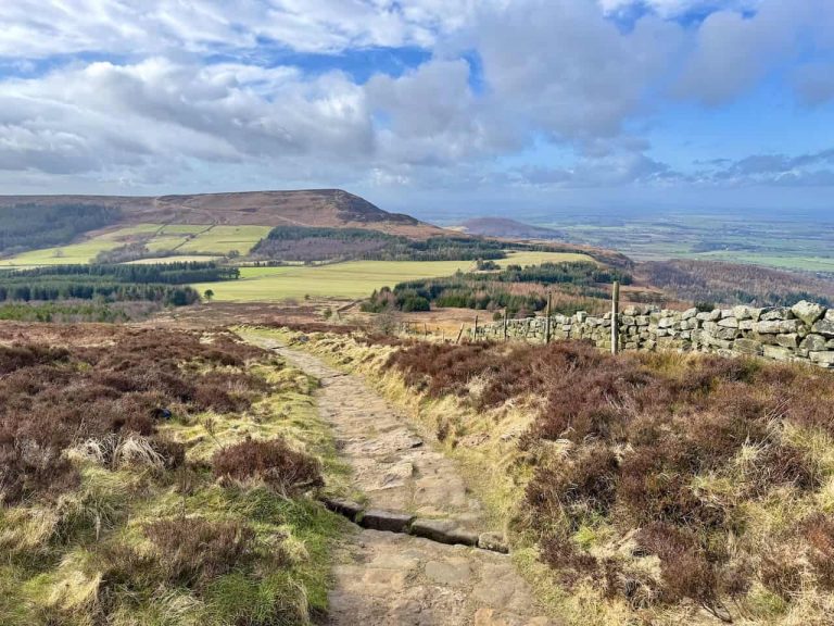 Cleveland 4 Peaks: White Hill, Cold Moor, Cringle Moor, Carlton Bank