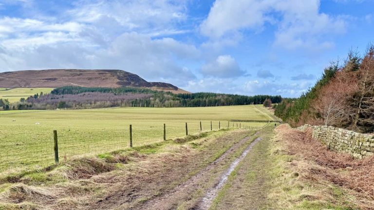 Cleveland 4 Peaks: White Hill, Cold Moor, Cringle Moor, Carlton Bank