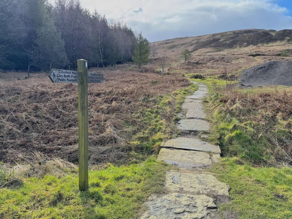 Cleveland 4 Peaks: White Hill, Cold Moor, Cringle Moor, Carlton Bank