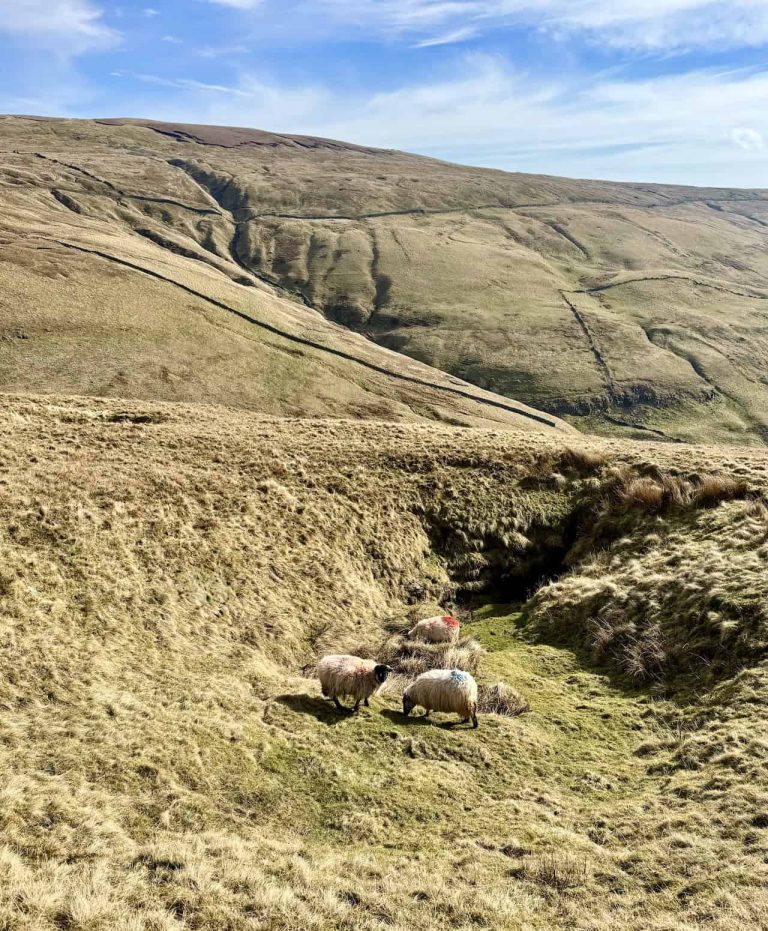 Buckden Pike Walk: A Complete Guide to This Classic Dales Hike