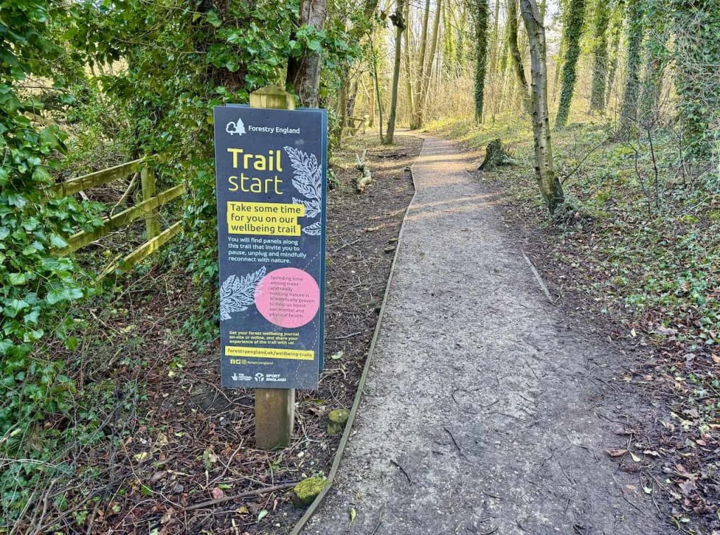 Guisborough Forest Walk: Scenic Route, Roseberry Topping Option
