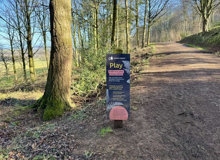Guisborough Forest Walk: Scenic Route, Roseberry Topping Option