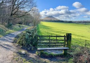 Guisborough Forest Walk: Scenic Route, Roseberry Topping Option