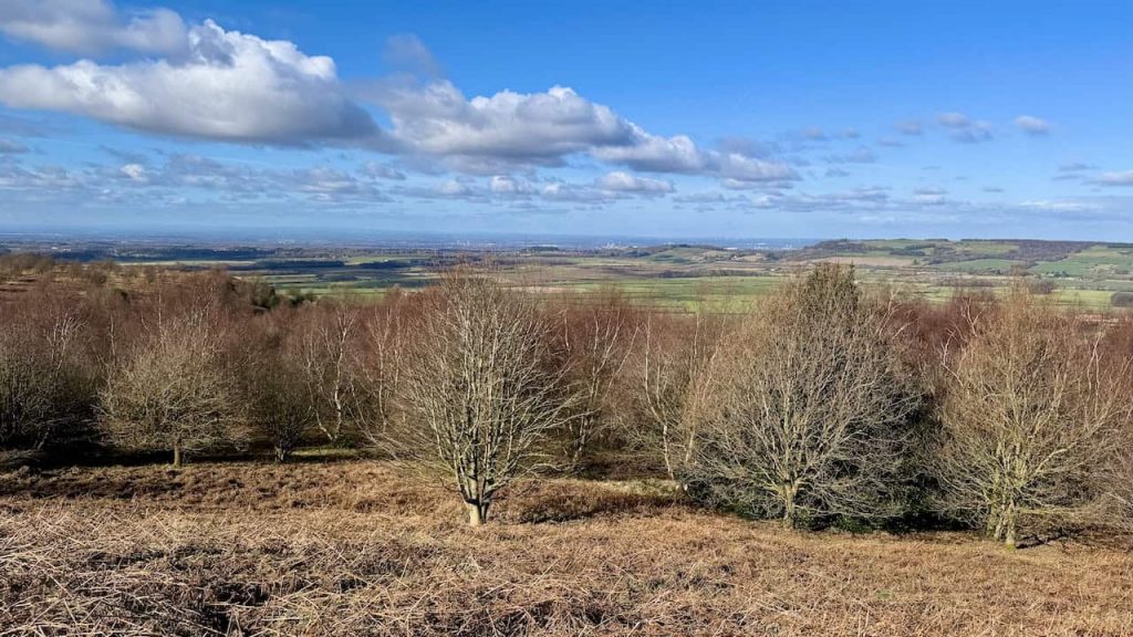 Guisborough Forest Walk: Scenic Route, Roseberry Topping Option