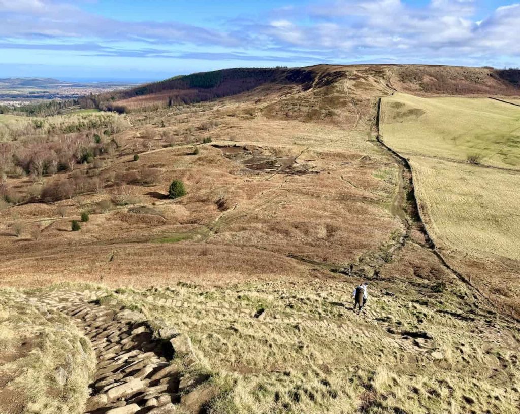 Guisborough Forest Walk: Scenic Route, Roseberry Topping Option