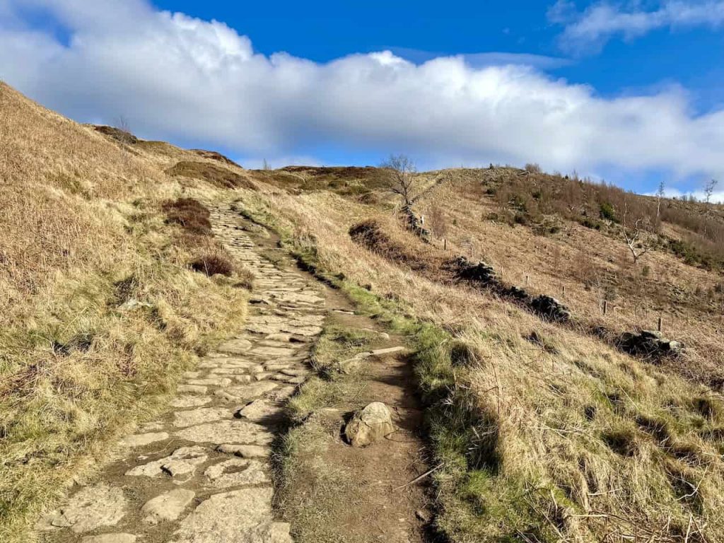 Guisborough Forest Walk: Scenic Route, Roseberry Topping Option