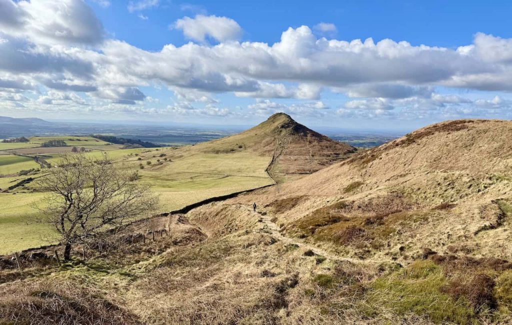 Guisborough Forest Walk: Scenic Route, Roseberry Topping Option