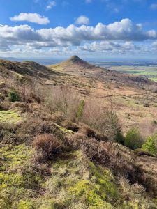 Guisborough Forest Walk: Scenic Route, Roseberry Topping Option
