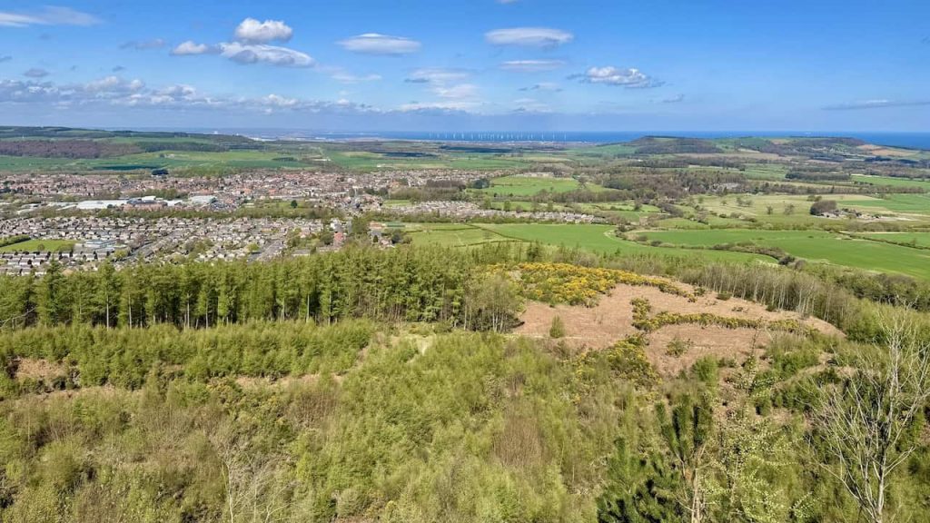 Guisborough Woods Walk: Woodland Paths and Panoramic Views