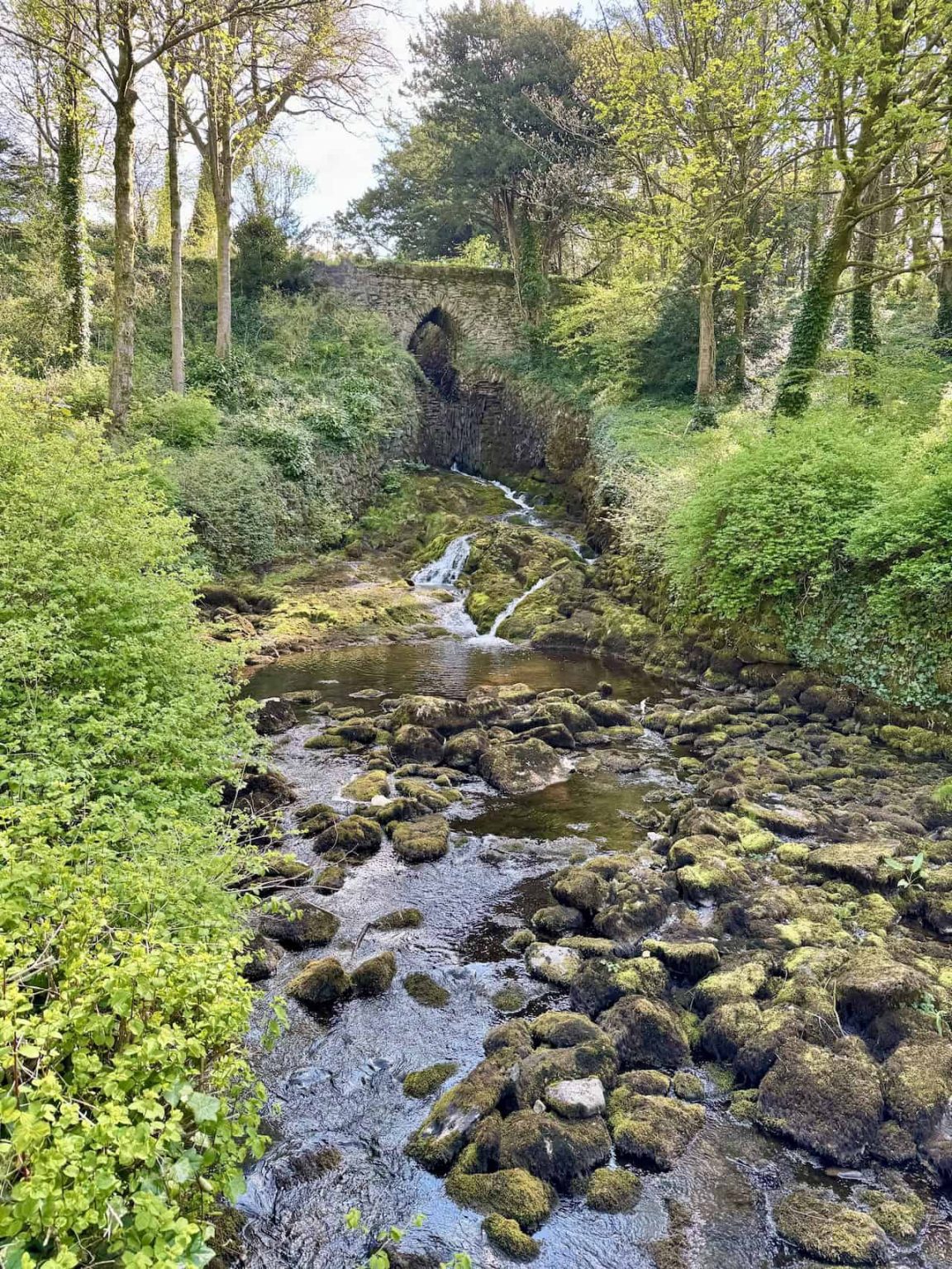 Ingleborough Walk: From Clapham via Trow Gill and Gaping Gill