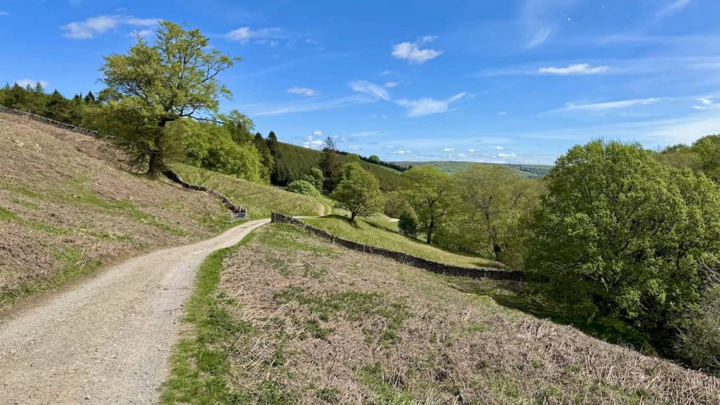 Pateley Bridge Walk: Nidderdale Way to Providence Lead Mines