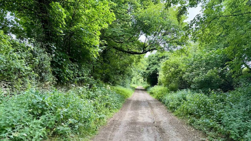 Hutton-le-Hole Walk: Route to Lastingham and Appleton-le-Moors