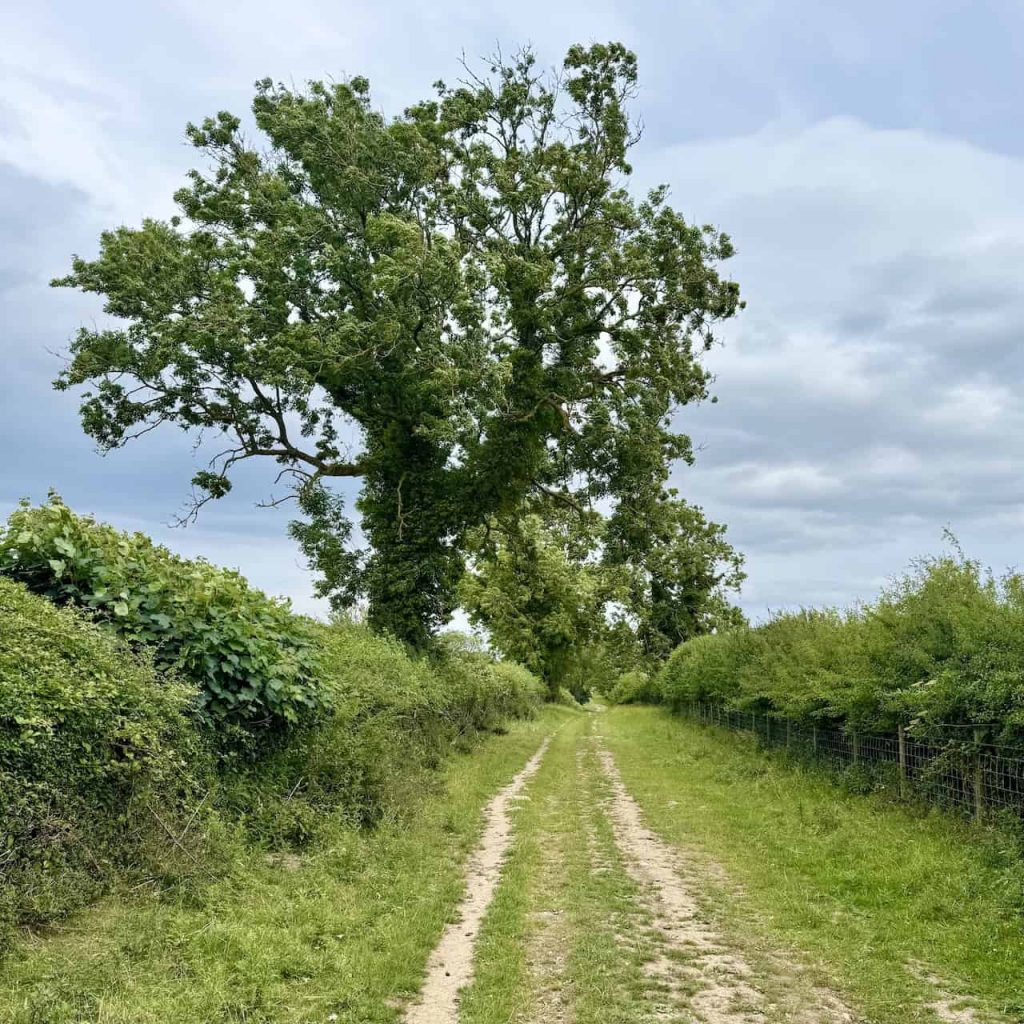 Hutton-le-Hole Walk: Route to Lastingham and Appleton-le-Moors