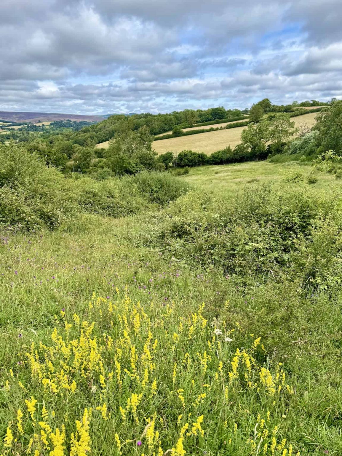 Appleton-le-Moors: Walk from Sinnington Village by Way of Cropton